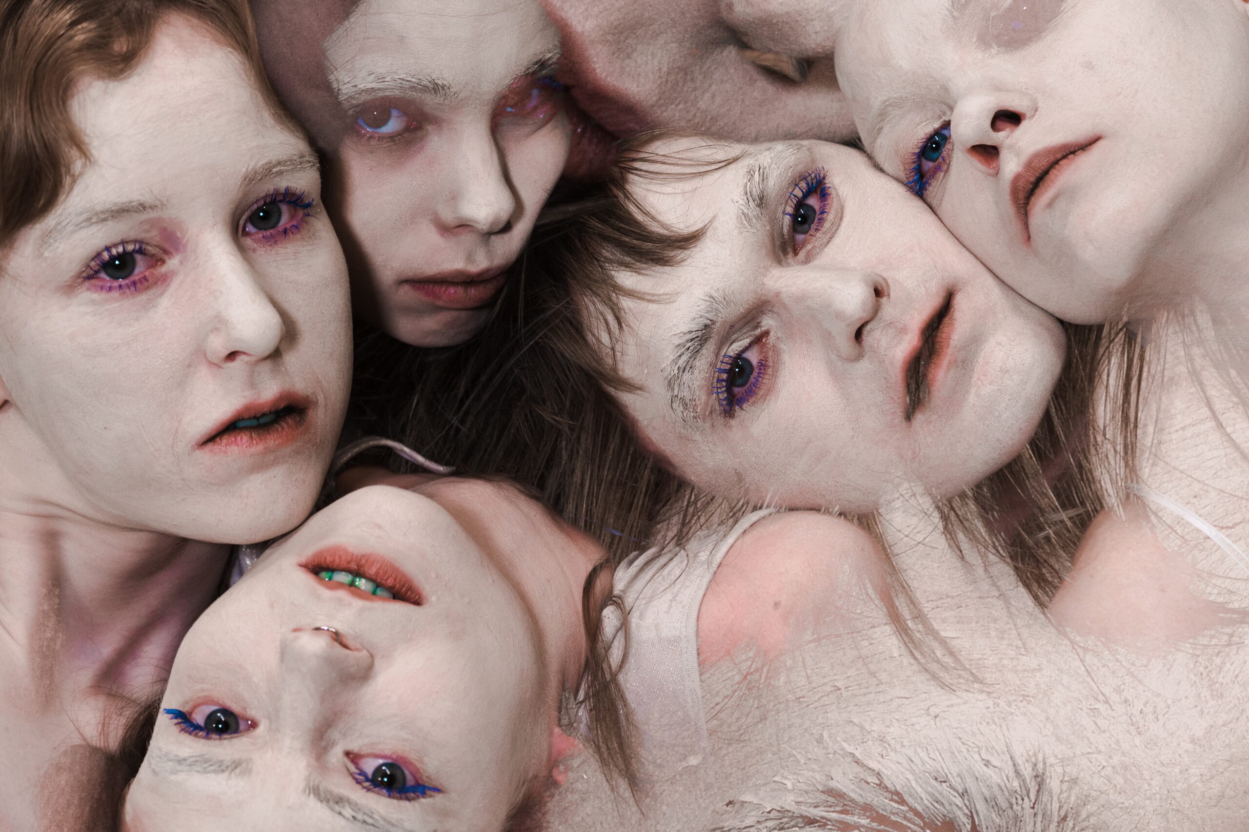 Värske Kraam Viljandist – funtastic fungi | Sõltumatu Tantsu Lava